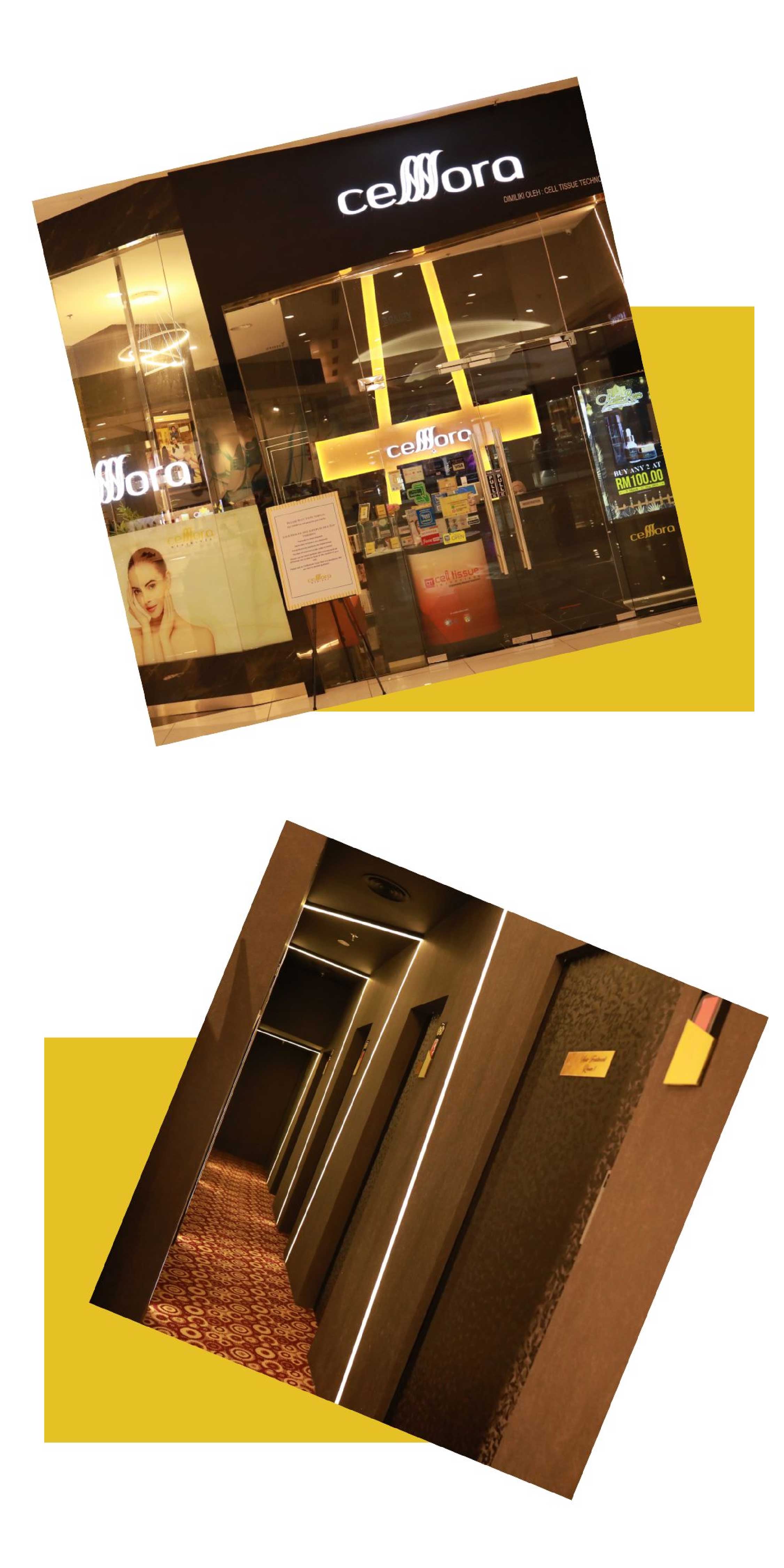 Discover – CytoLife